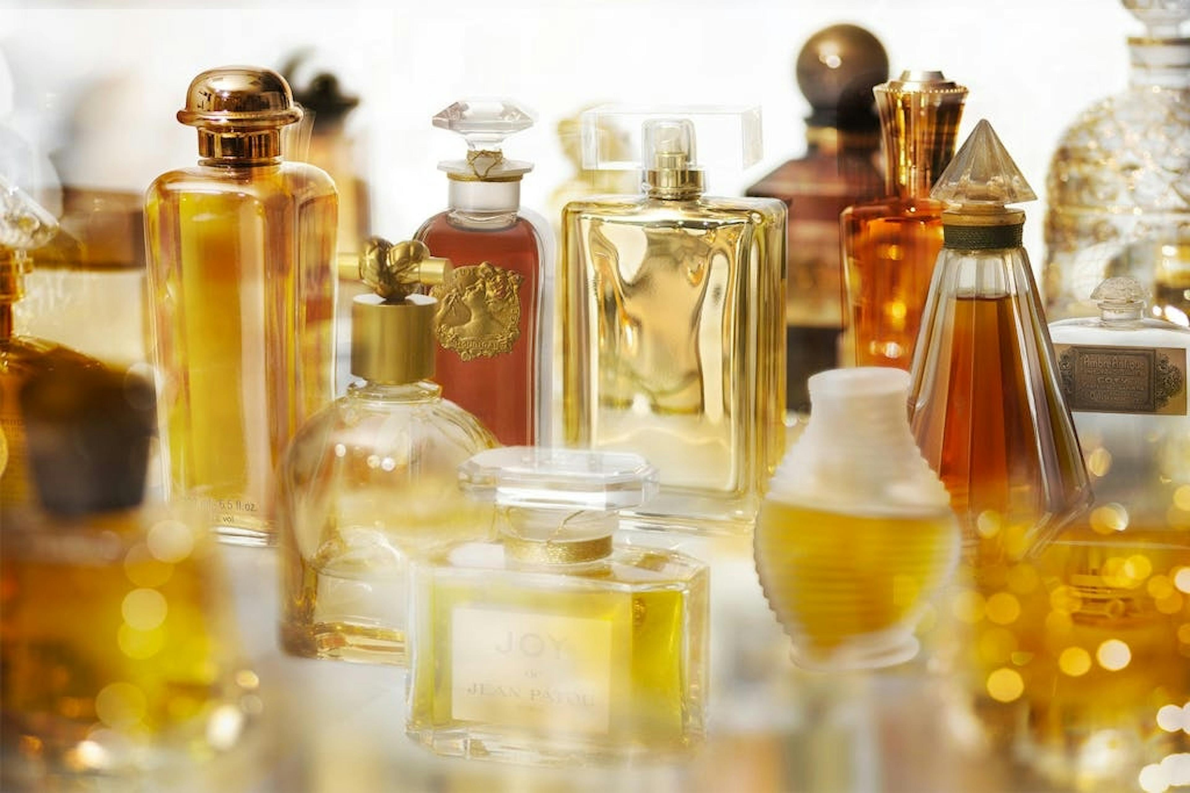 The Sensory Shift: GLP-1 Medications and the Perfume Obsession ...