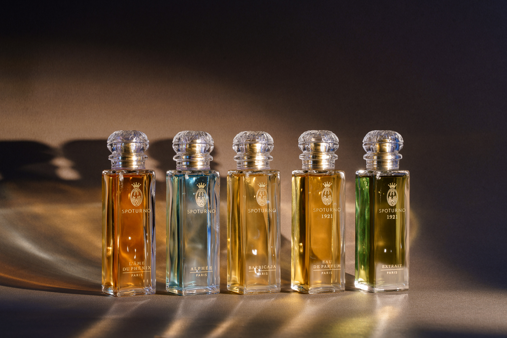 How to Adopt the Dark Academia Aesthetic - Elevated Classics Magazine